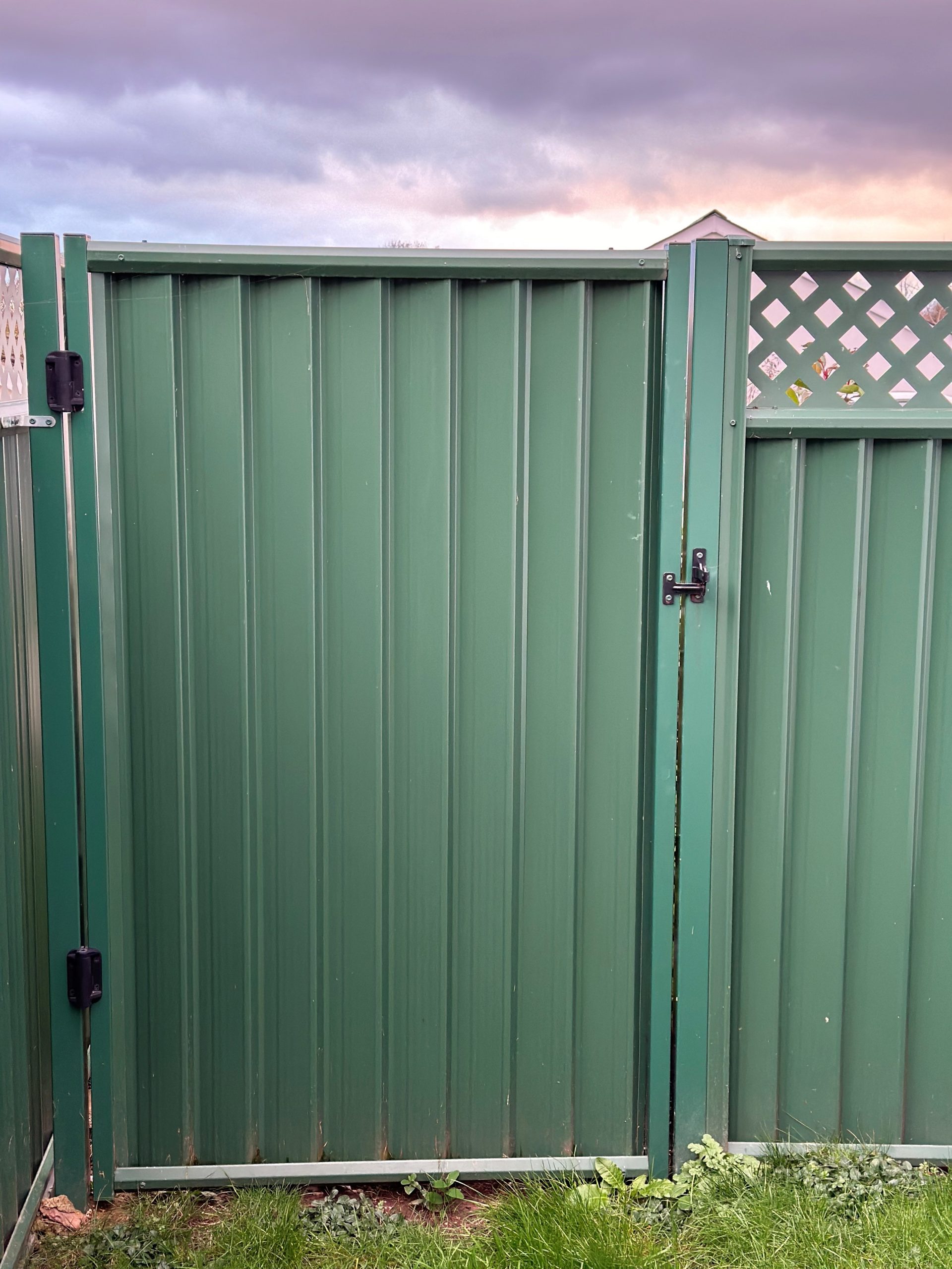 ColourFence Gate in Plain Green | ColourFence Gates